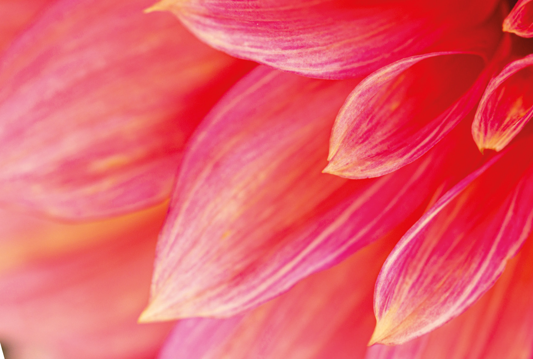 Mandation to our nation? | Hymans Robertson