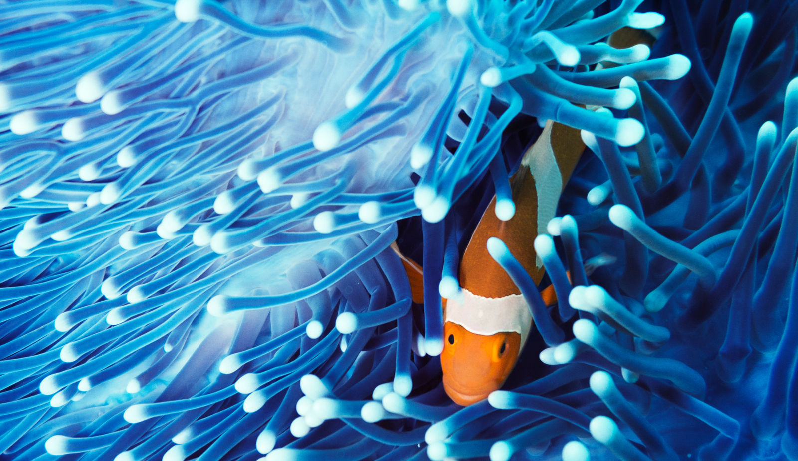 An 'RI-aware' buy-and-hold credit portfolio | Hymans Robertson